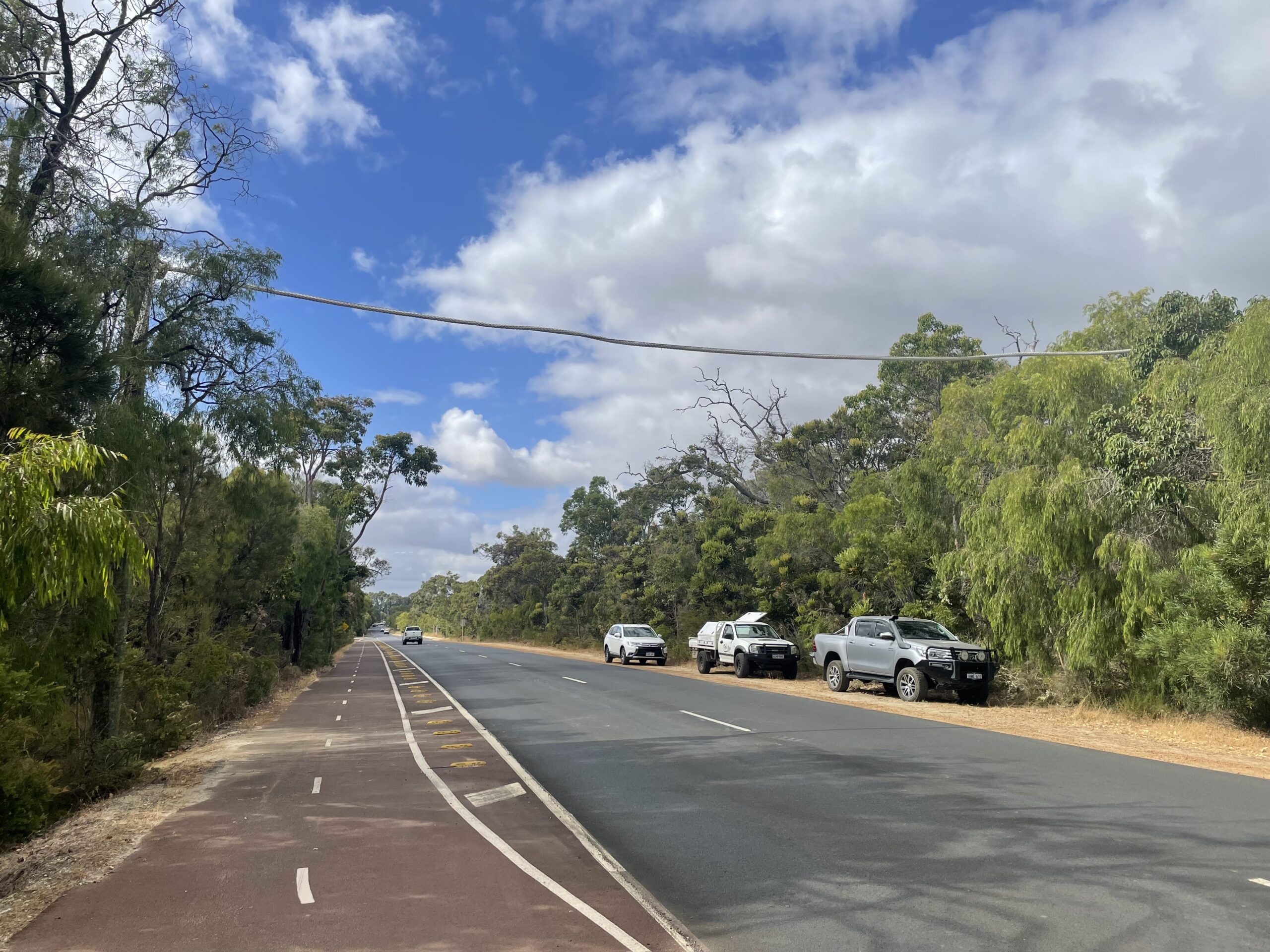 Why did the possum cross the road? - South West NRM