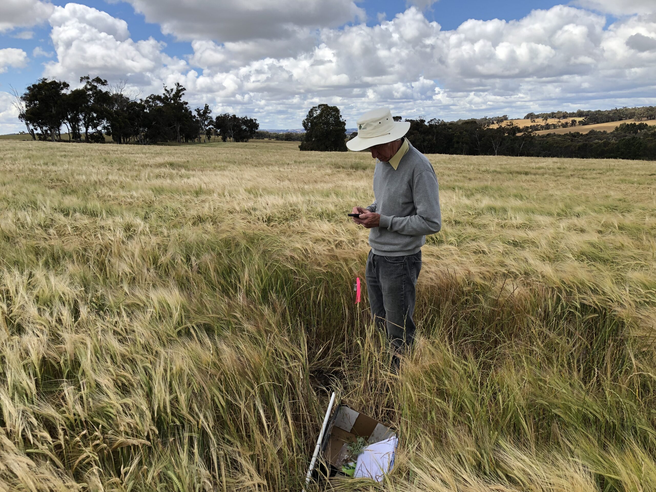 Natural capital accounting for farmers - South West NRM