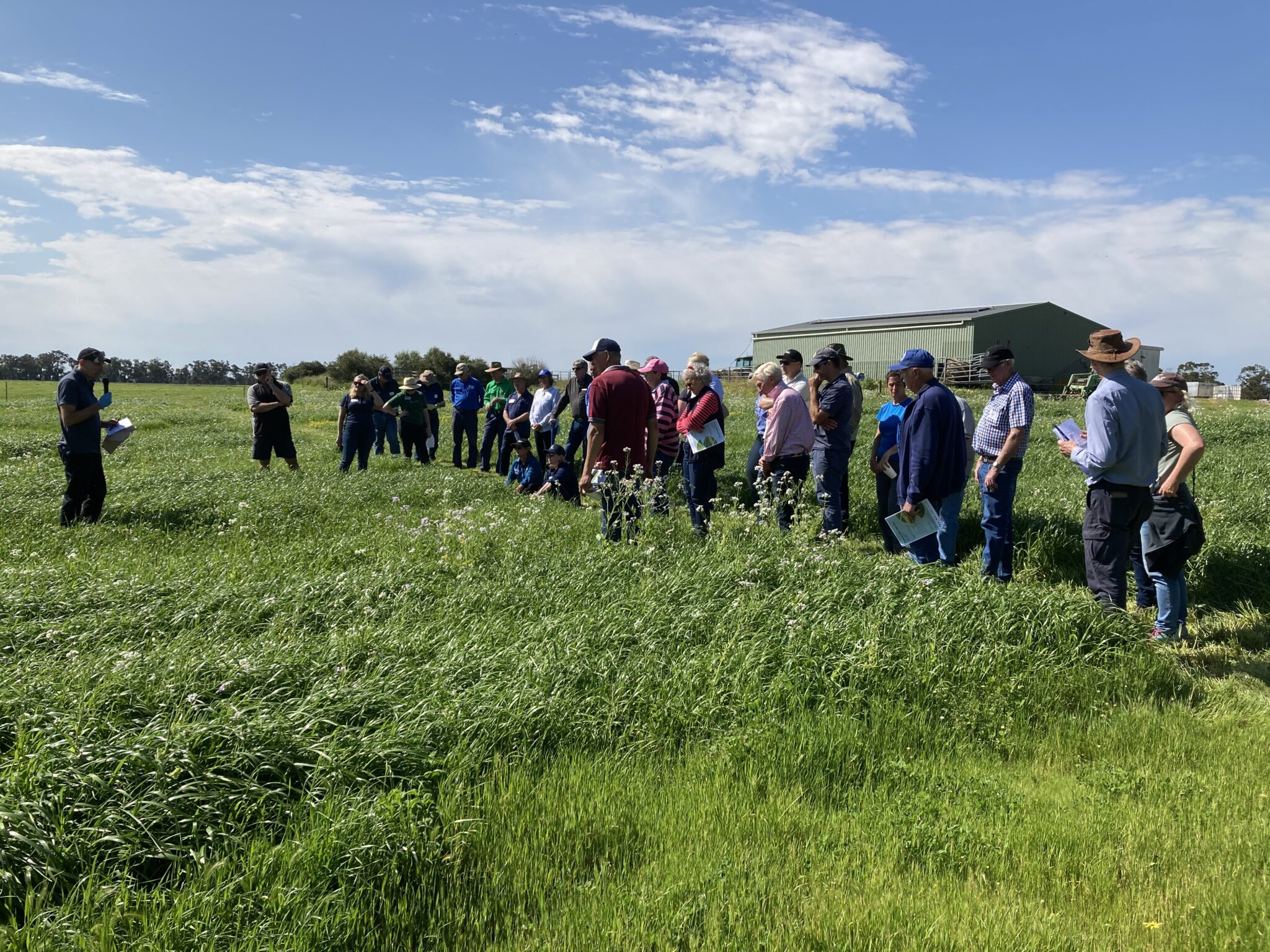 Pasture Wise Field Day digs deep on soil testing - South West NRM