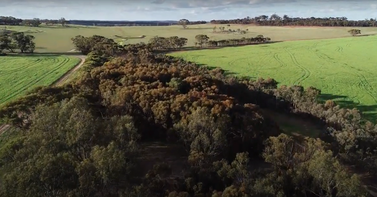 Nature Repair Market great news for farmers and the environment - South ...
