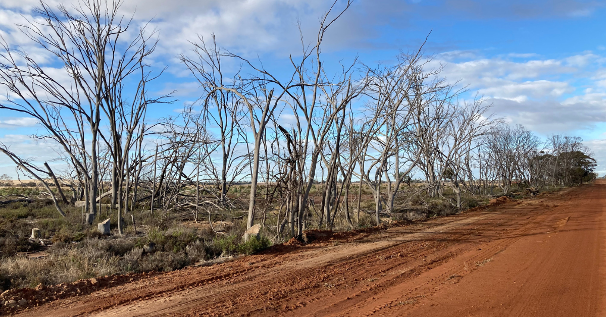 Addressing the social impact of drought - South West NRM