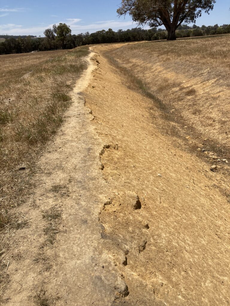 Drought Adaptation: Mixed farm - South West NRM