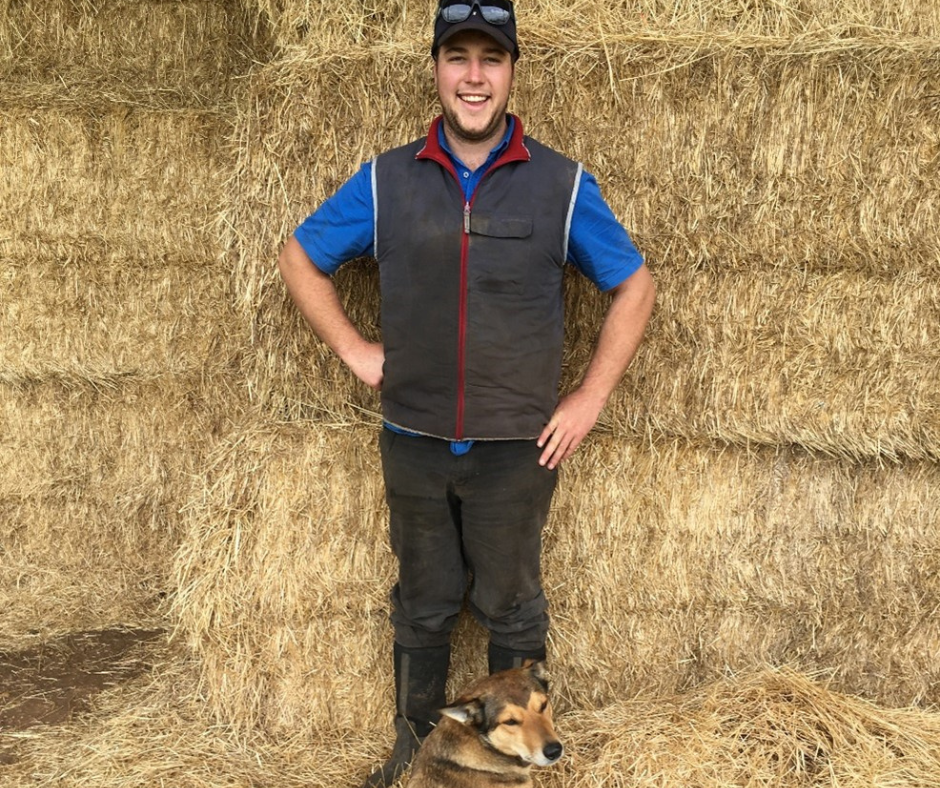 Trial shows confinement feeding for beef a 'no brainer' - South West NRM