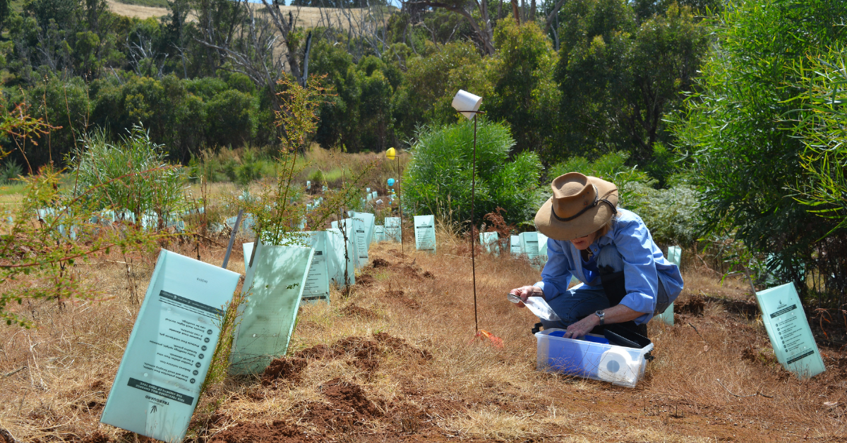 We've had the green light to continue leading region's environmental ...