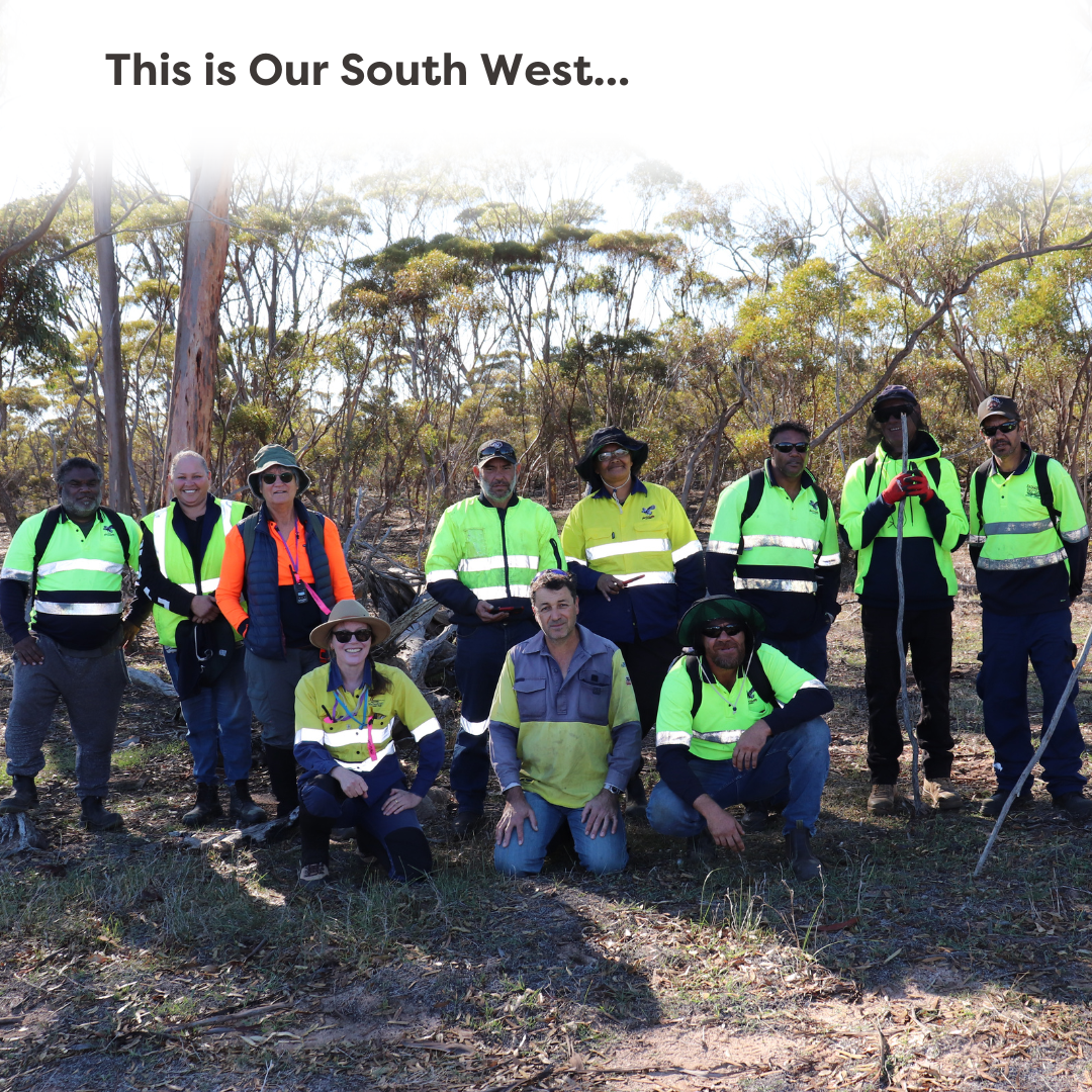 Create change this World Environment Day! - South West NRM