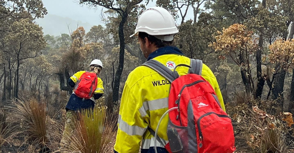 Considering nature during emergencies - South West NRM