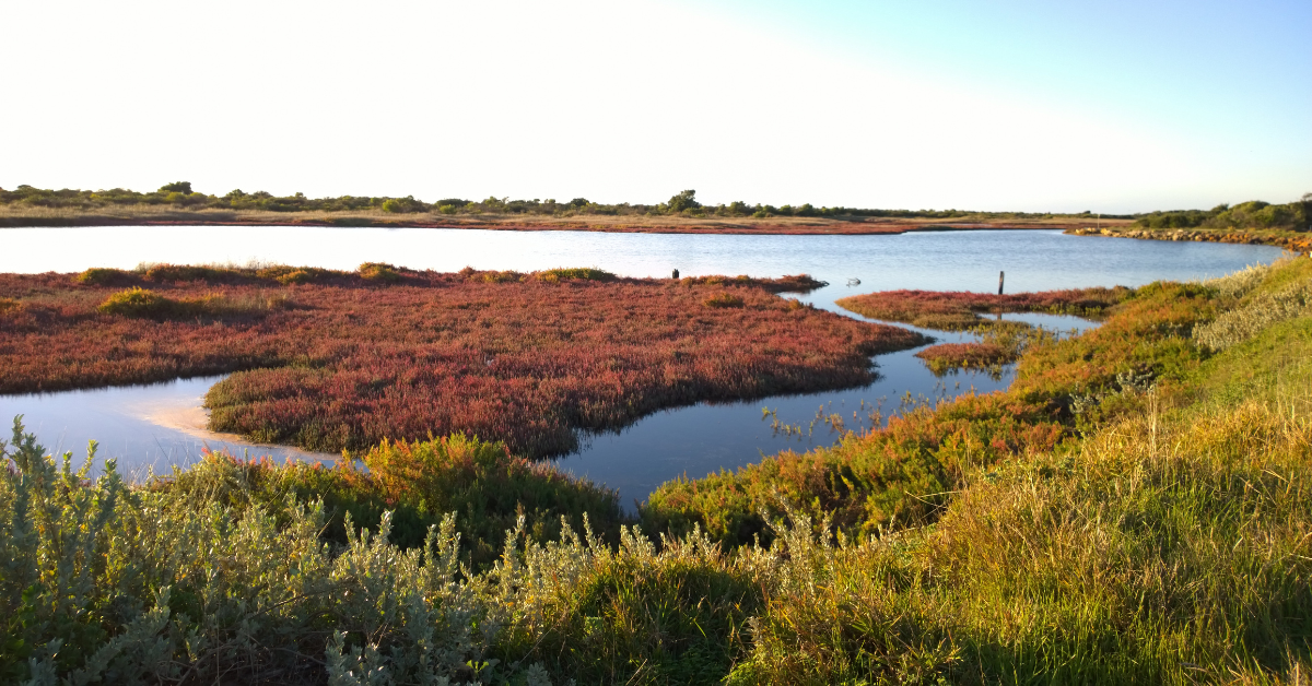 Protecting & Enhancing 3 Ramsar Wetlands - South West NRM