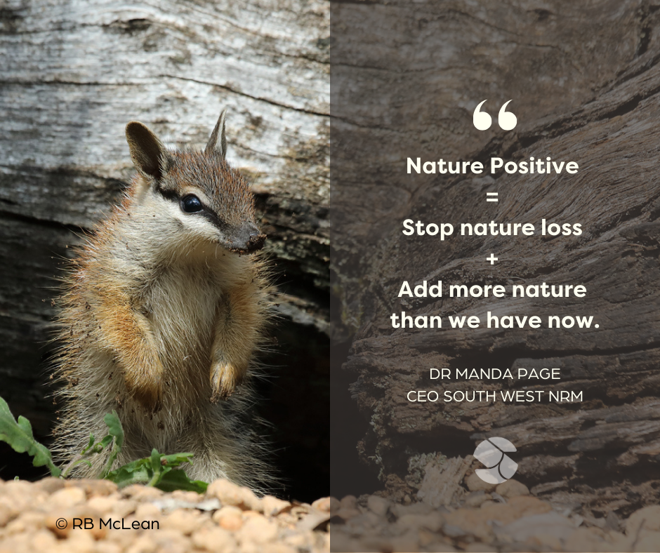 From Net Zero to Nature Positive: The next big goal for sustainability ...