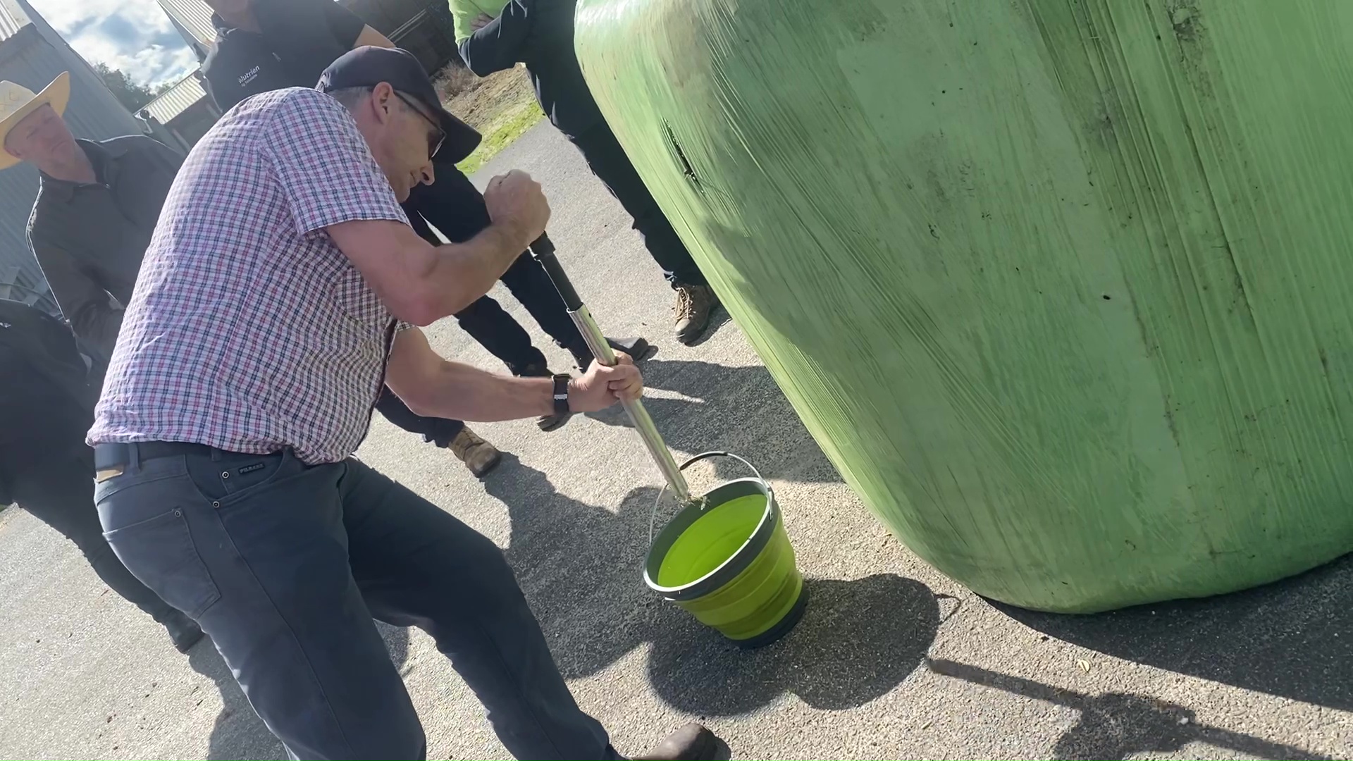 Forage testing: Why, when and how - South West NRM