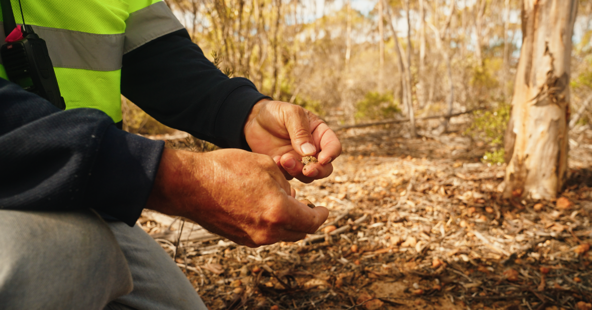Partnering with Traditional Custodians - South West NRM