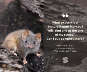 What exactly is a 'Nature Repair Market'? - South West NRM