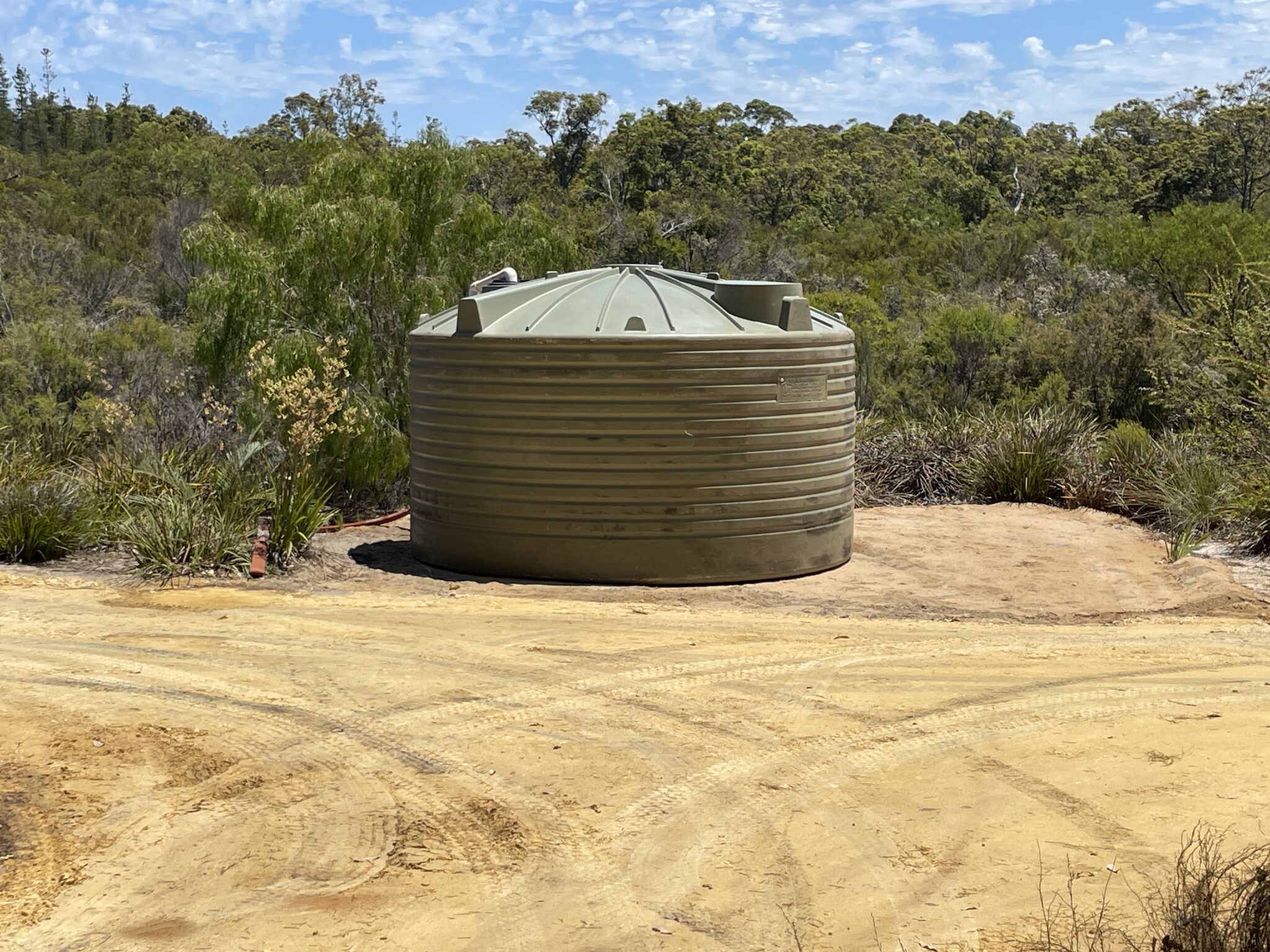 Action underway on plan to save tiny, critically-endangered frog ...