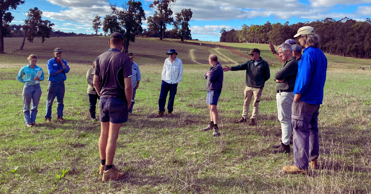 The Perennial Question (Manjimup): Why, what, when and how with ...